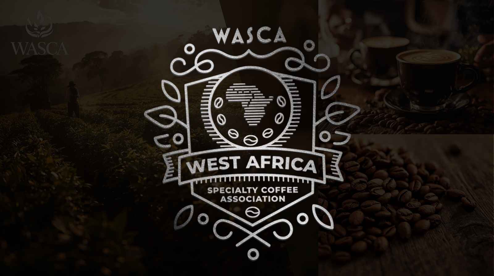 West Africa Specialty Coffee Association (WASCA) | Empowering Africa’s ...